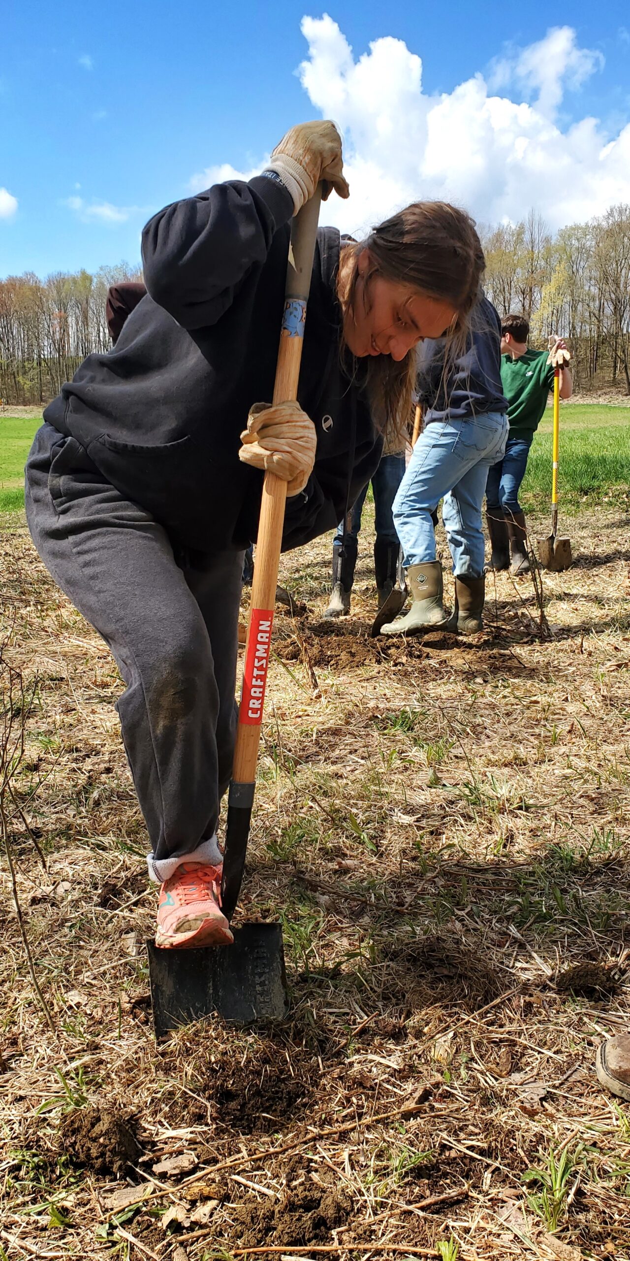 Students help plant trees in Glade Township | News, Sports, Jobs ...